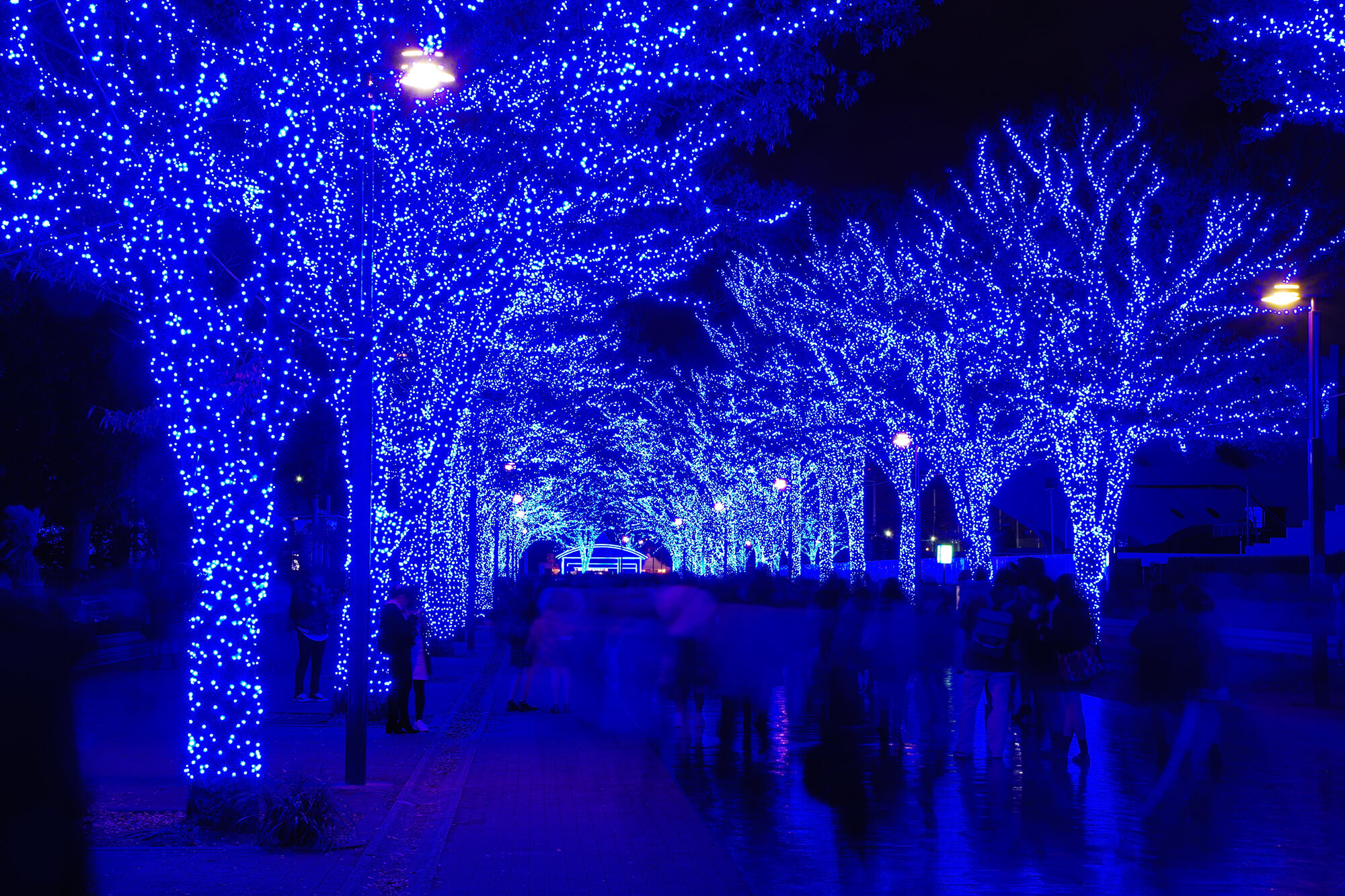 Home - Illuminations Lighting